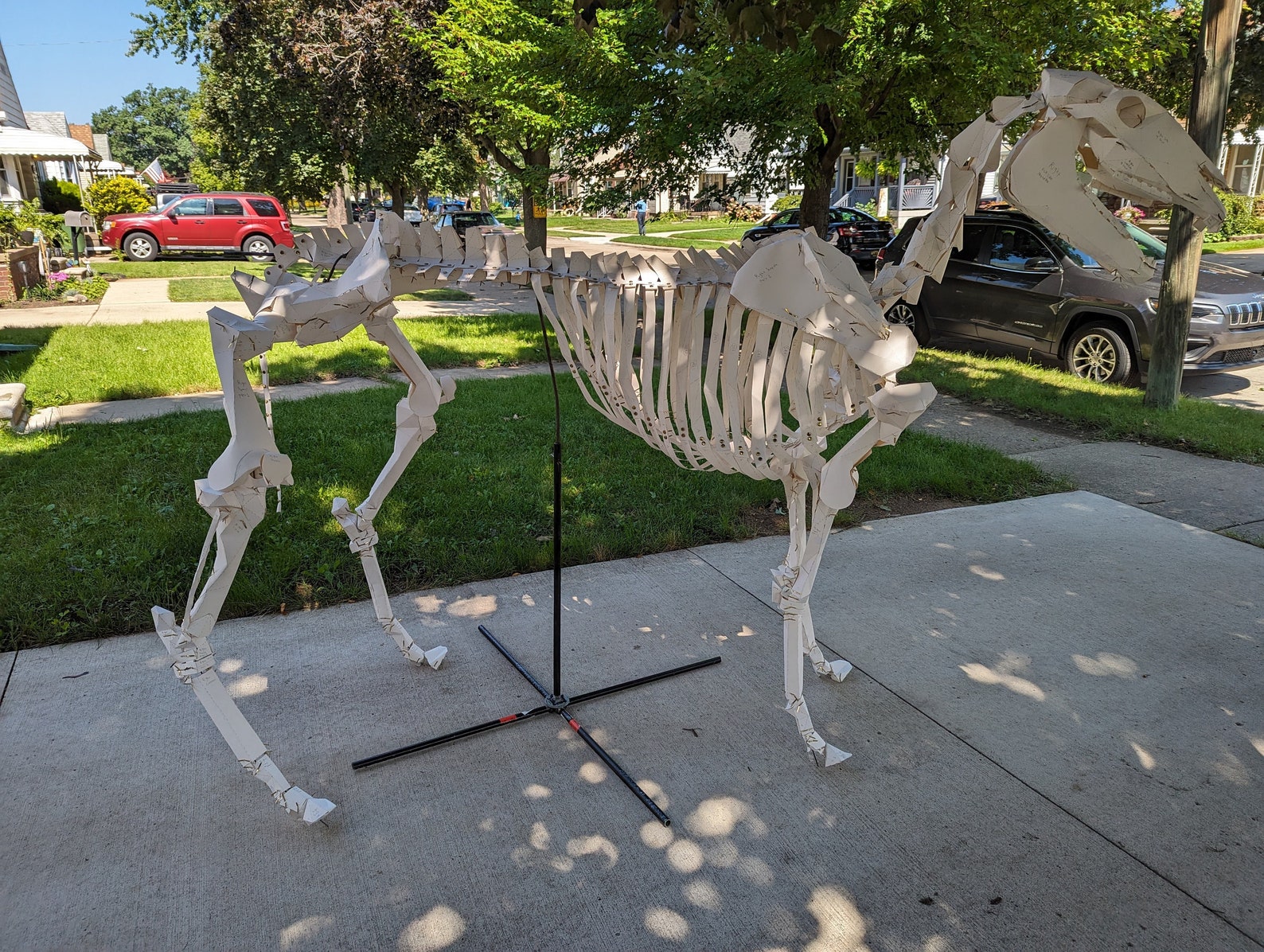 Life Size Animal Horse Skeleton PDF Construction Kit , Cosplay ...