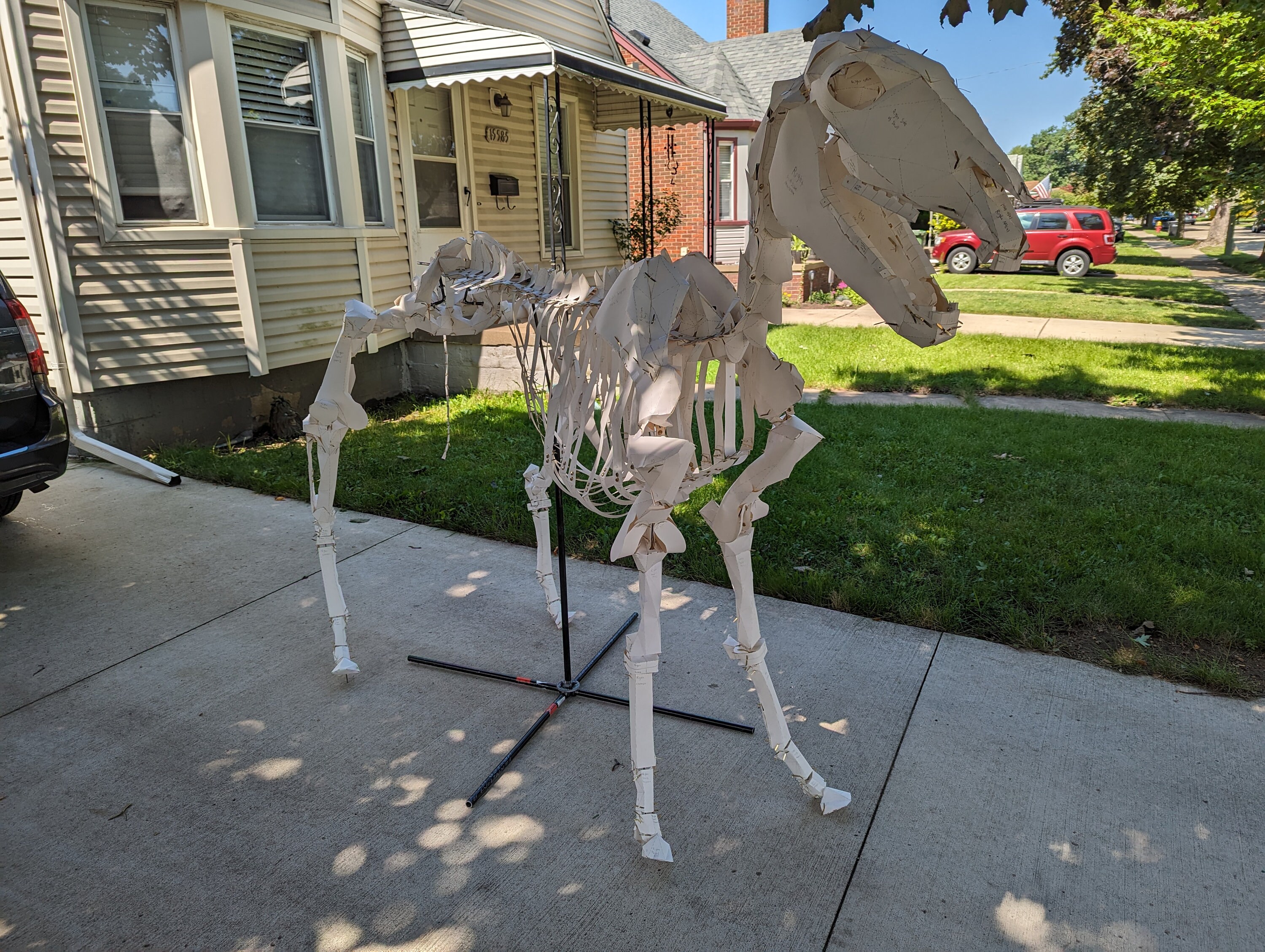 Life Size Animal Horse Skeleton PDF Construction Kit , Cosplay ...