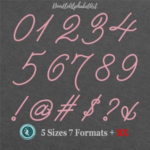 Pinyon Script Embroidery Font, Satin Stitch, 5 Sizes 7 Formats + BX ...