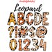 Half Skin Animal Print Alphabet Numbers PNG Doodle Letters - Etsy