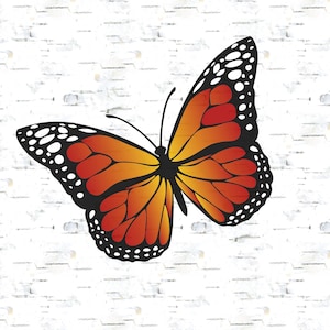 Monarch Butterfly Digital Doodle Alphabet Print PNG With Clipart ...