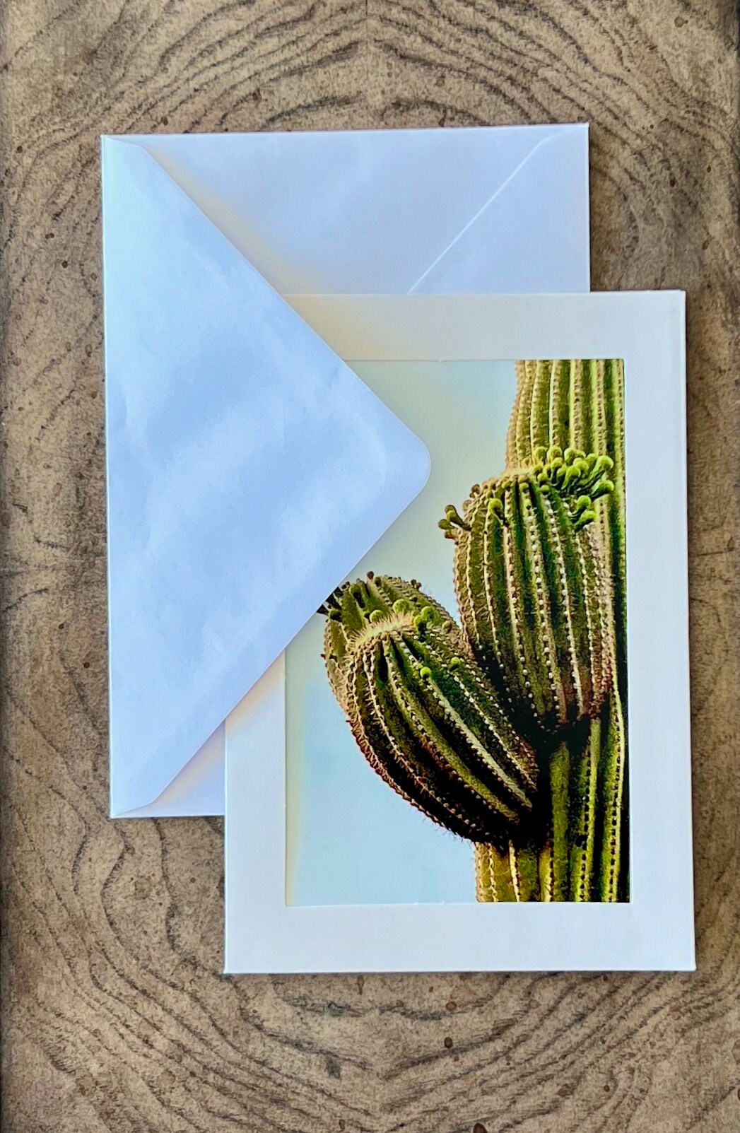 Saguaro Cactus Greeting Cards/note Cards Set of 4 - Etsy