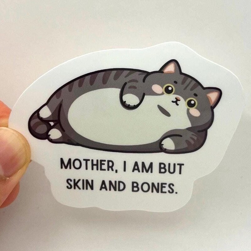 Cat Sticker - Etsy