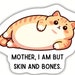 Cute Cat Sticker, Chonky Cat Sticker, Cat Mom Stickers, Funny Cat ...