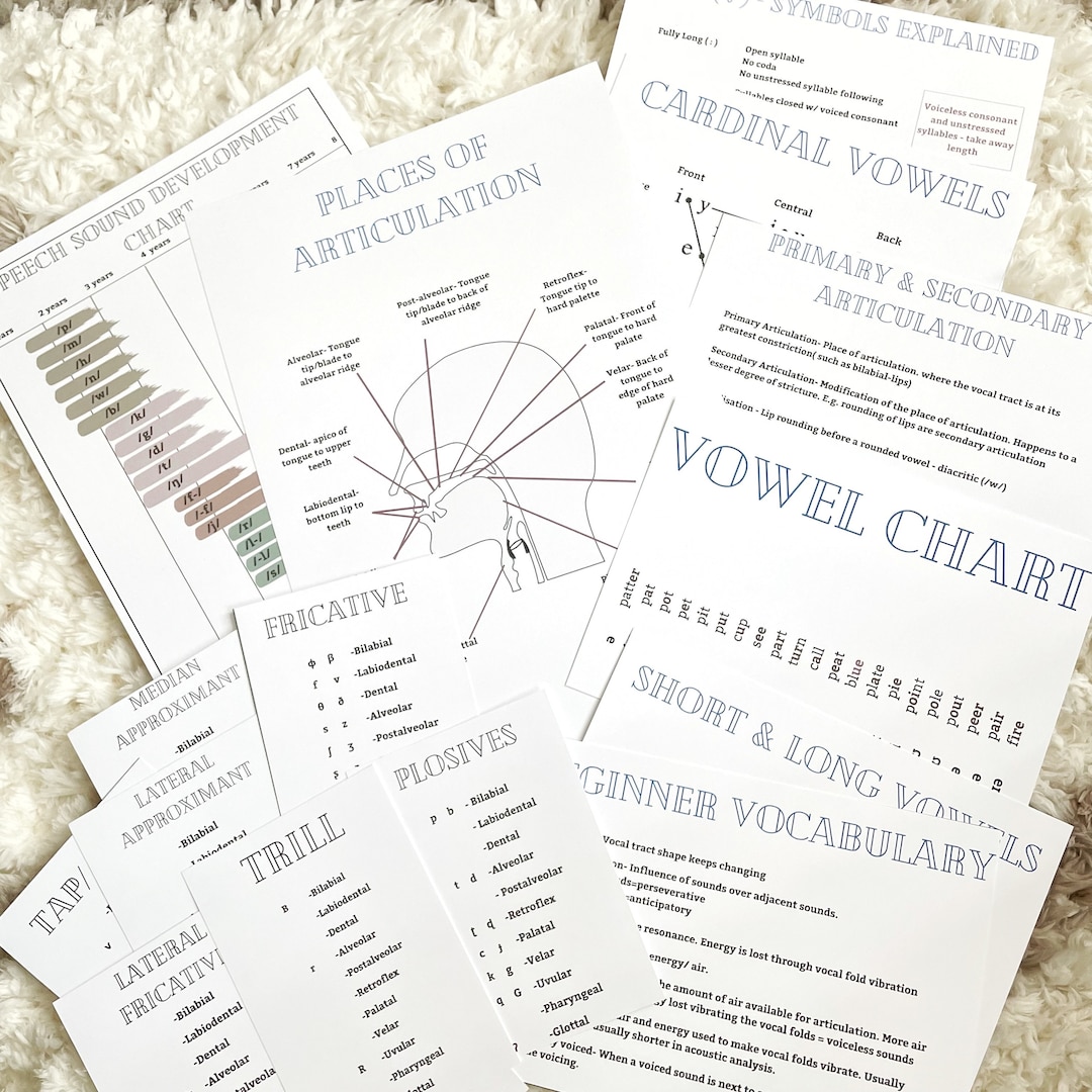 Speech and Language Therapy Phonetics Acoustics IPA Study - Etsy