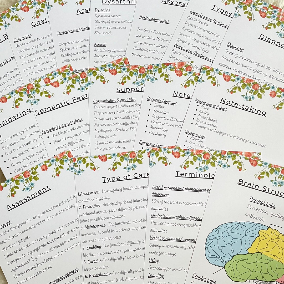 Stroke / Aphasia Study & Placement Card Set of 16 X A5 Cards Speech and ...