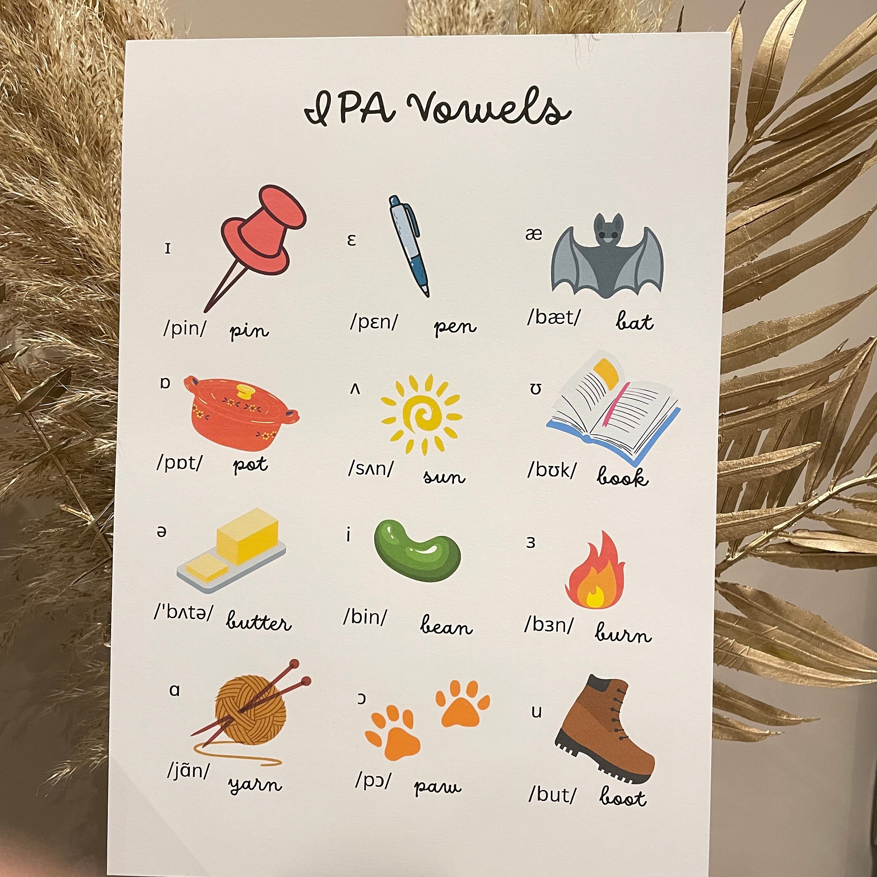 IPA Vowel Study Cards Diphthongs Speech and Language - Etsy
