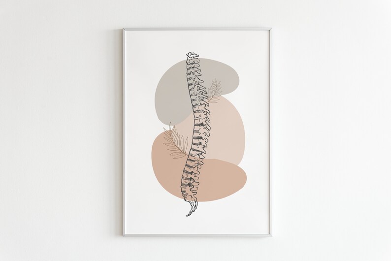 Neutral Spine Poster | Spinal Wall Print Art | Chiropractic Poster - Etsy