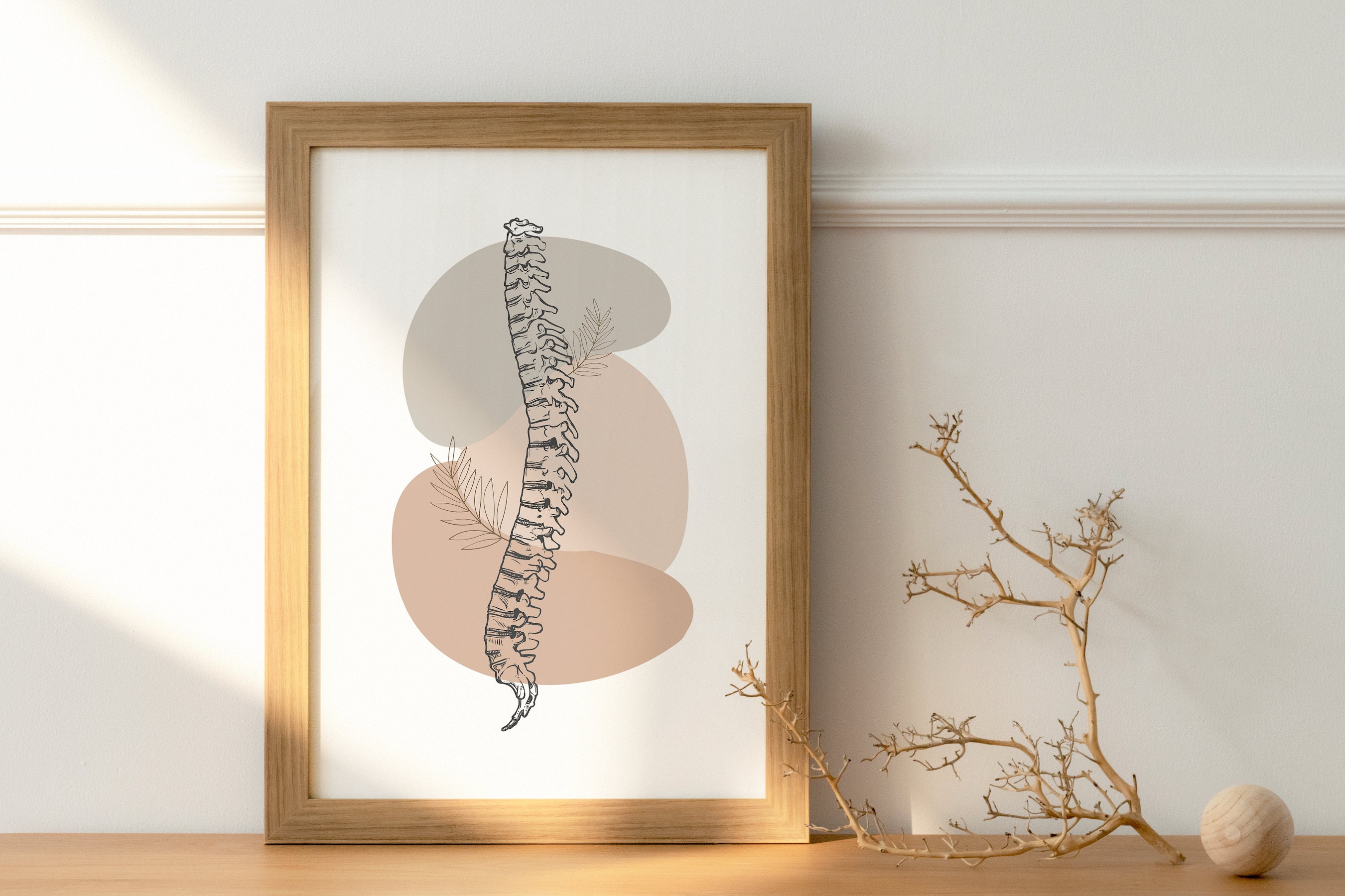 Neutral Spine Poster | Spinal Wall Print Art | Chiropractic Poster - Etsy