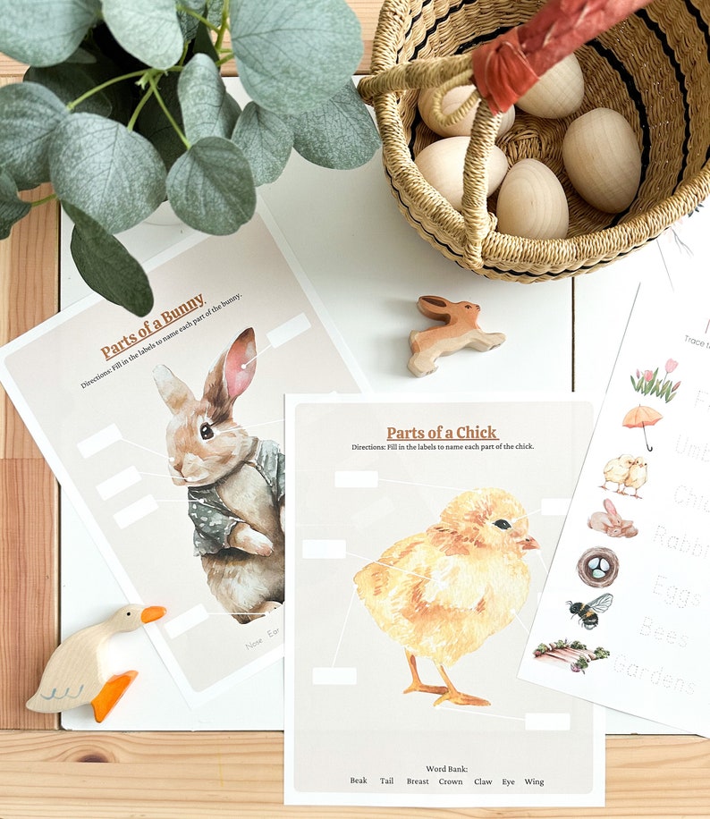 Easter Activity Kids Printable Eastertide Octave Catholic - Etsy