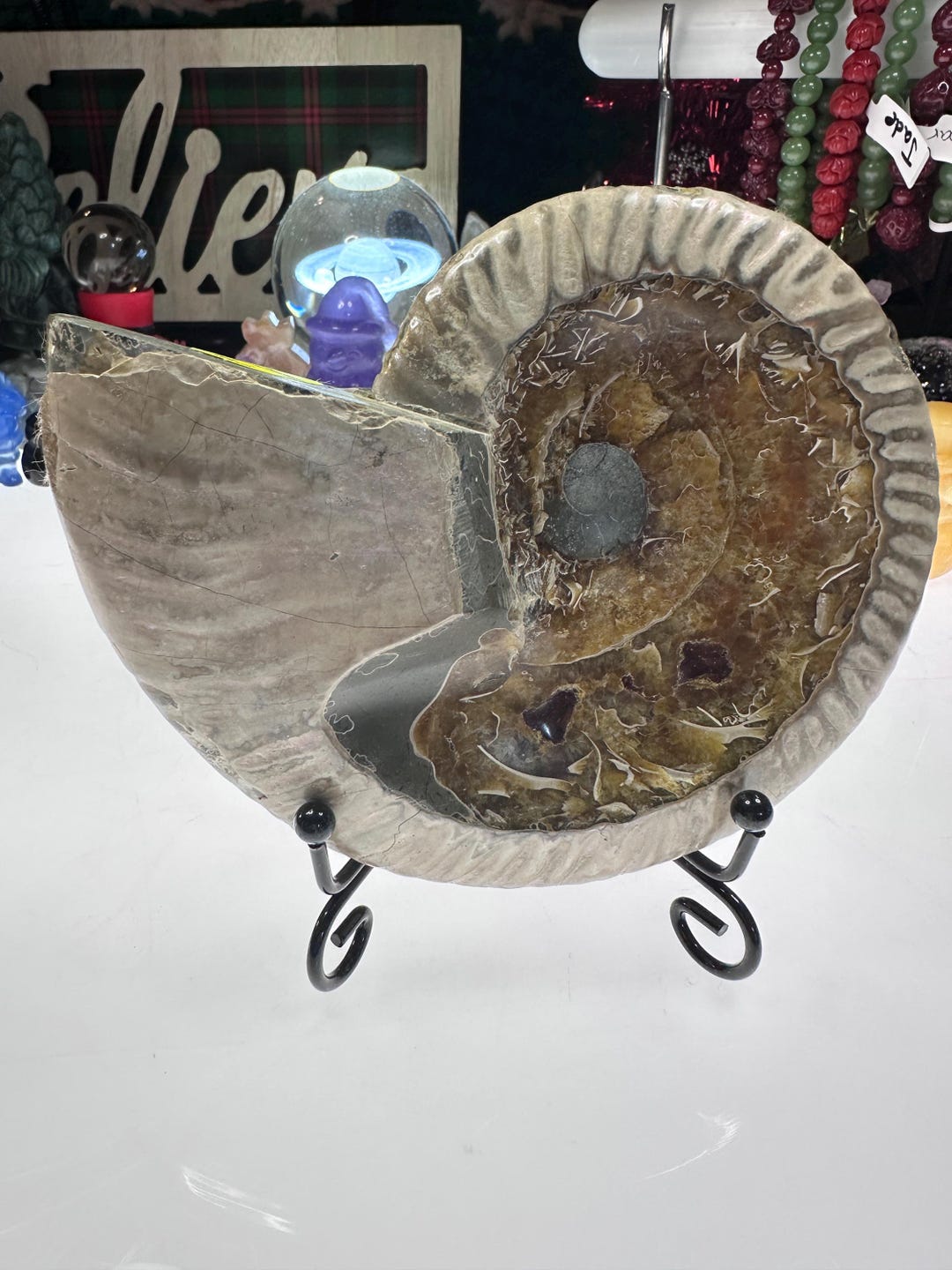 Amazing Natural Ammonite Fossil Bowl With Orange Flash - Etsy