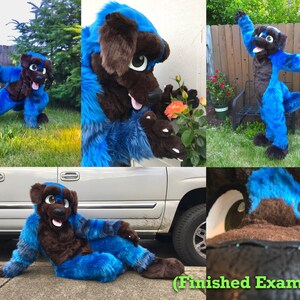 COMMISSION Full Plantigrade Fursuit - Etsy