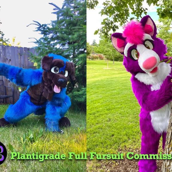 Furry Suit Full Body - Etsy