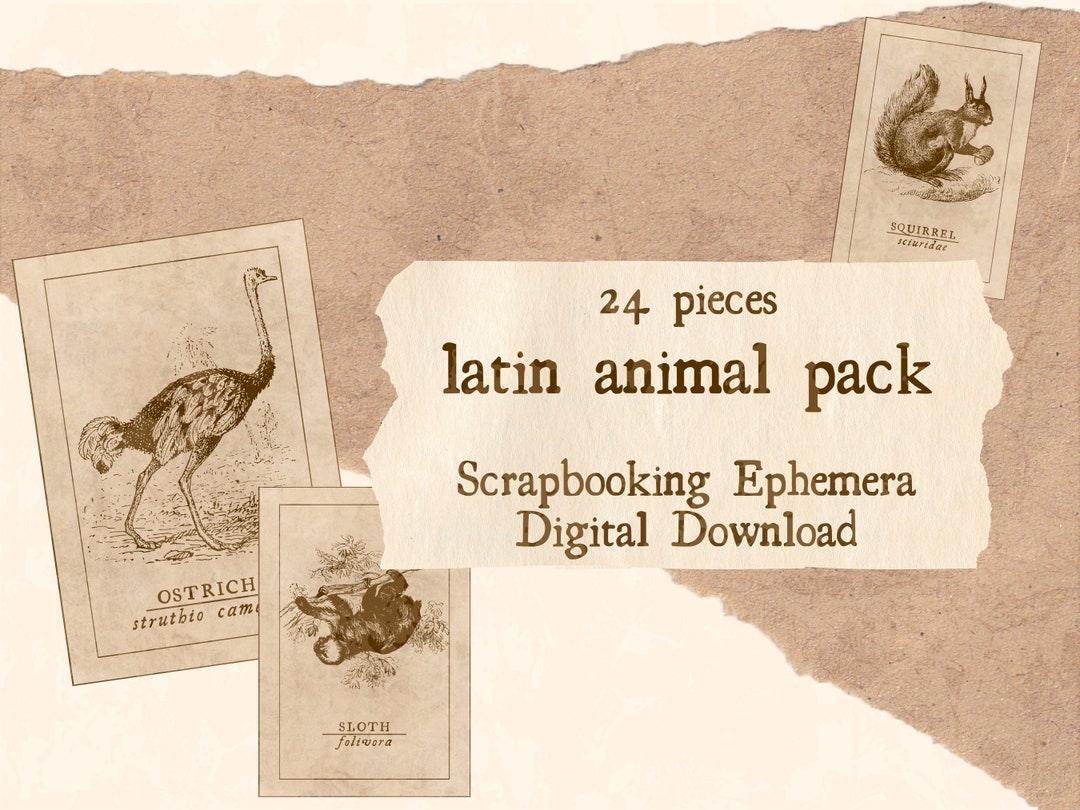 Latin Animal Card Junk Journal Kit | Digital Download Scrapbook ...