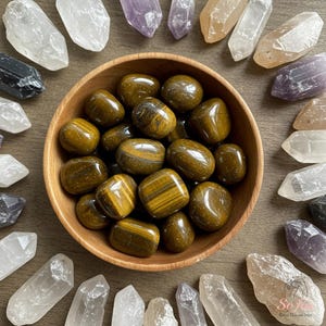 Tiger Eye Tumbled Stone - Natural Polished Tiger's Eye Gemstone ...
