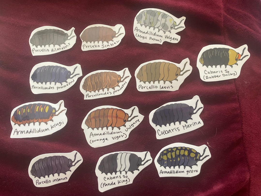 Isopod Labels - Etsy
