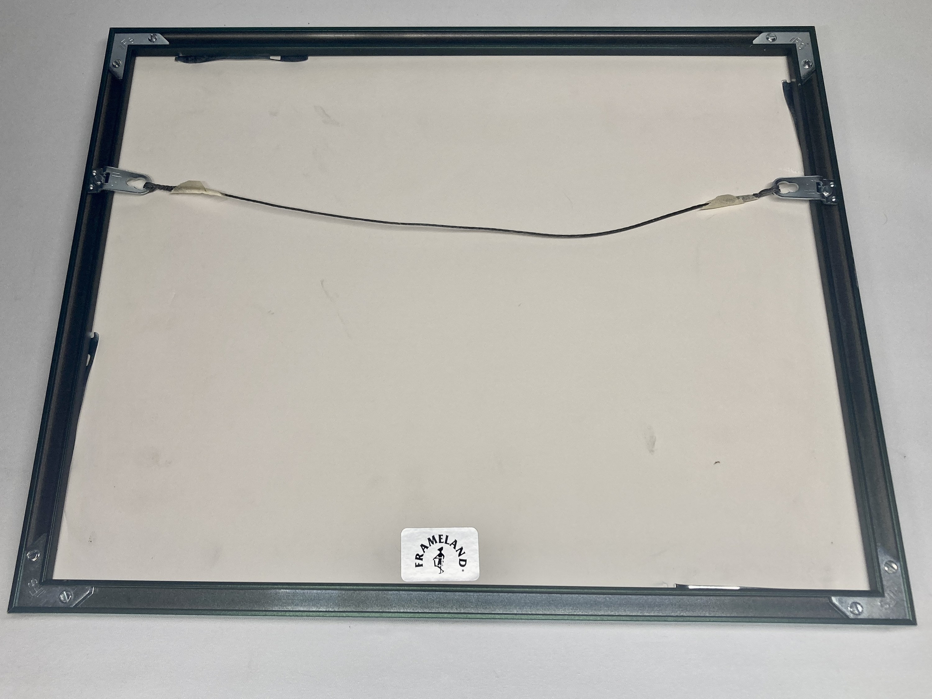 Savage Dragon 1990s Cartoon TV Show Animation Cel With Background Alex ...