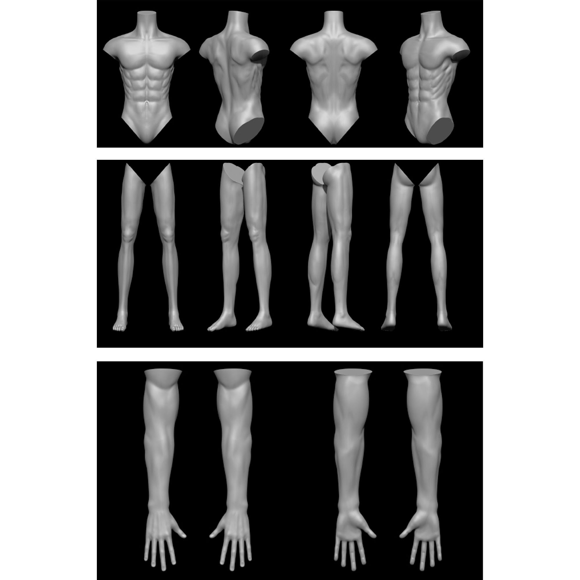 Male Body Mould,male Arm Mould,male Leg Mould,male Whole Set of Mould ...