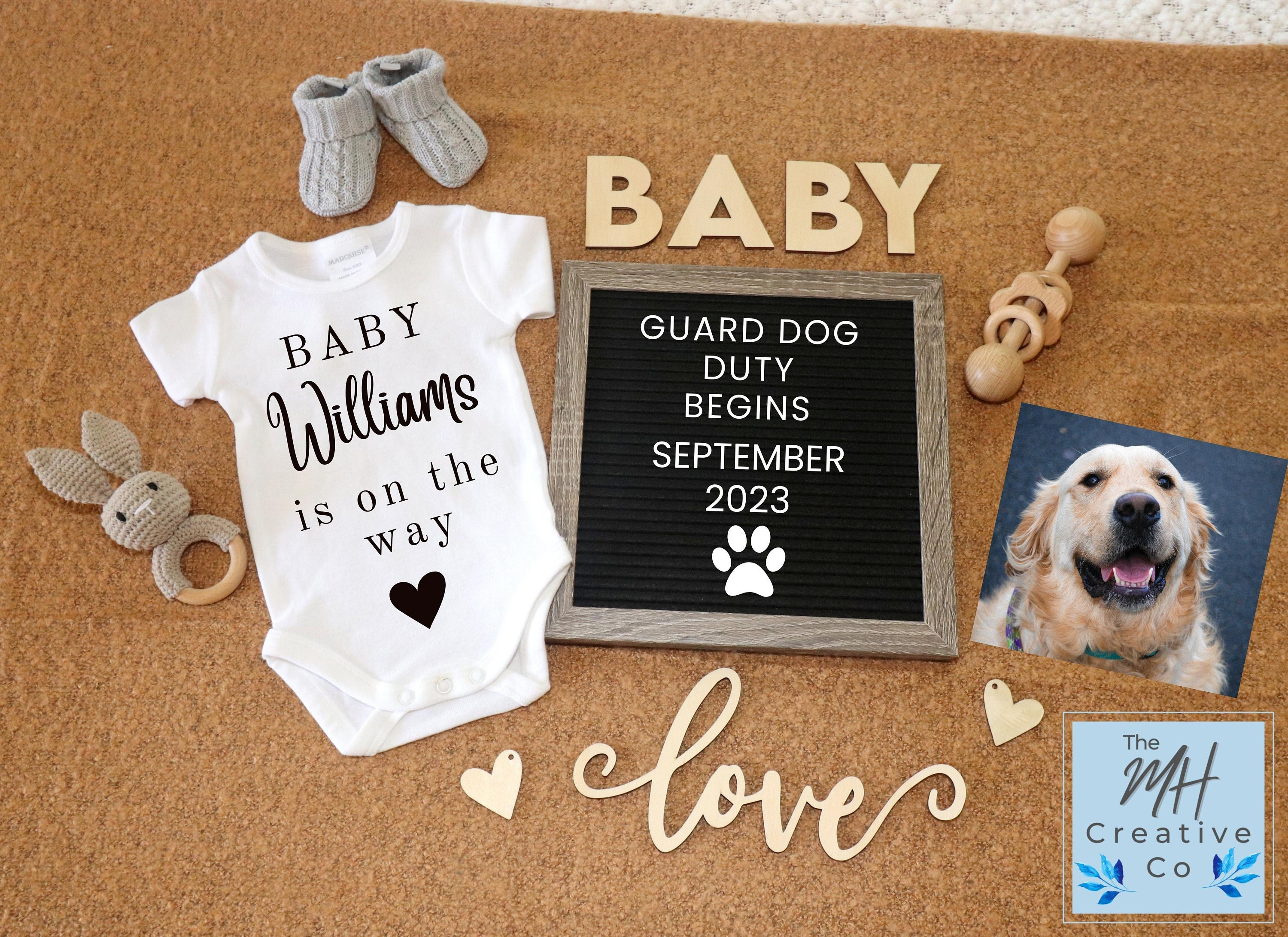 Pregnancy Announcements Ideas With Dogs