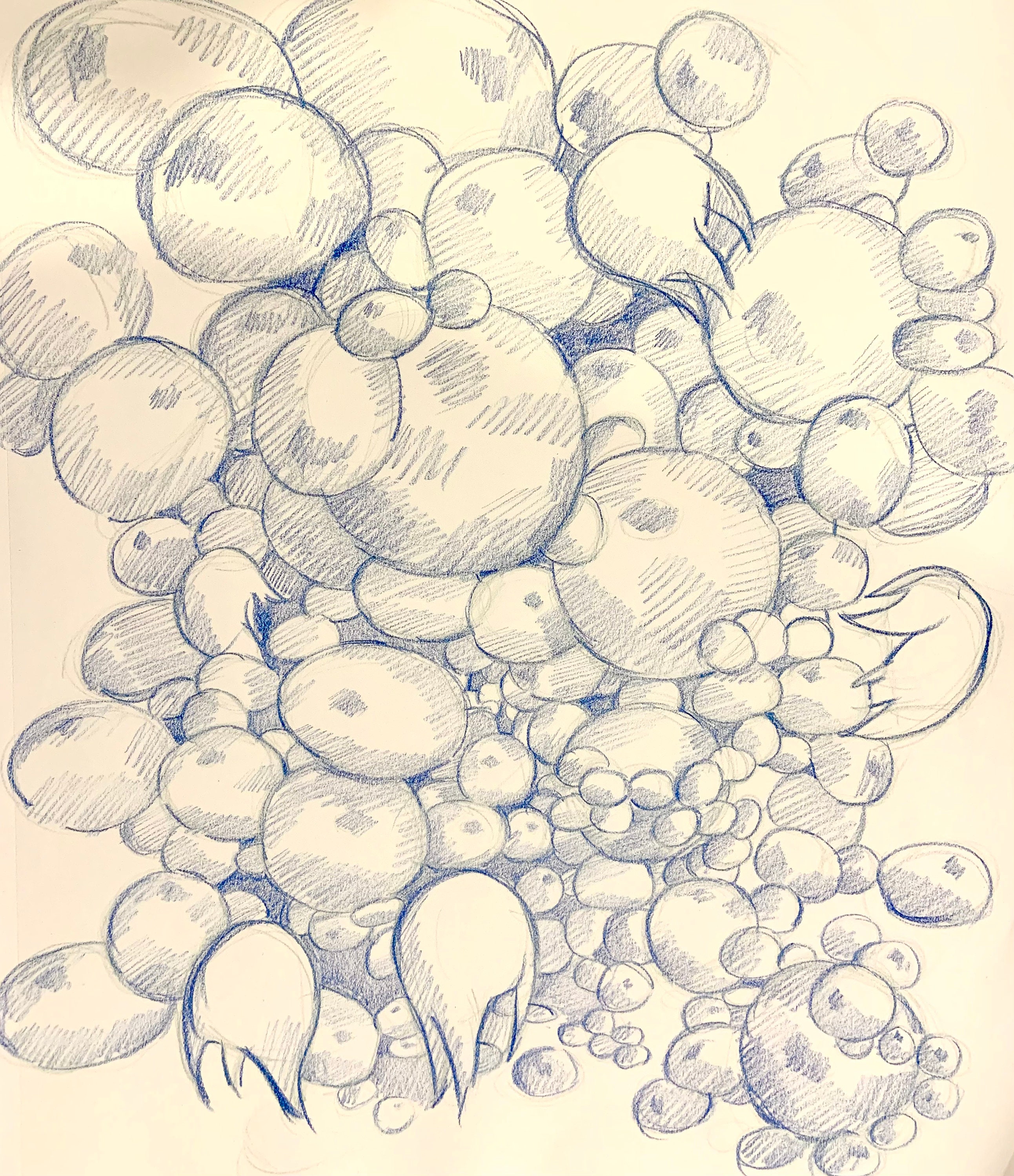 Bubble Swarm Colored Pencil Drawing by Kathryn D'elia - Etsy