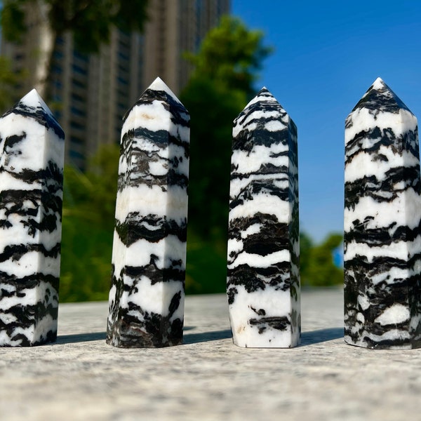 Zebra Decor - Etsy