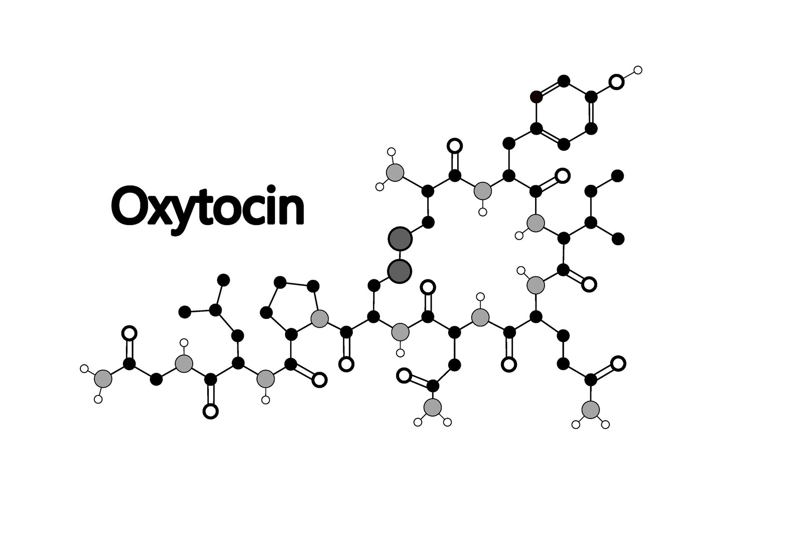 5 Biochemical Molecules Bundle. Vector Graphic Files for Cutouts ...