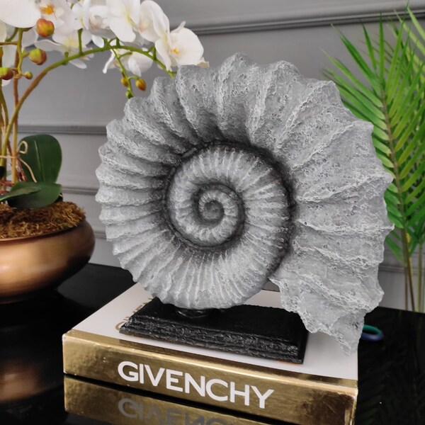 Sea Shell Sculpture - Etsy