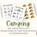 Camping Theme Printable Activity Worksheets | No Prep Preschool and ...