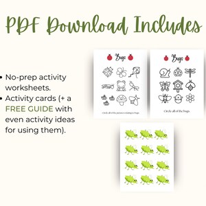 Bug Theme Printable Activity Worksheets | No Prep Preschool and ...