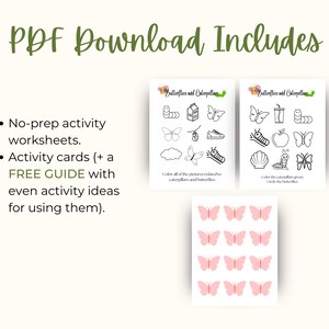 Butterflies & Caterpillars Printable Activity Worksheets | No Prep ...