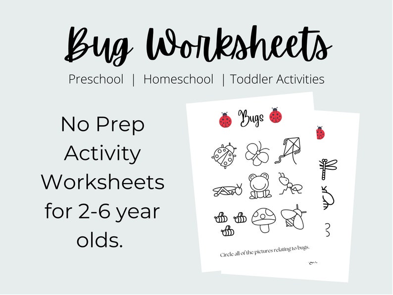 Bug Theme Printable Activity Worksheets No Prep Preschool - Etsy