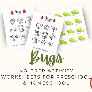 Bug Theme Printable Activity Worksheets | No Prep Preschool and ...