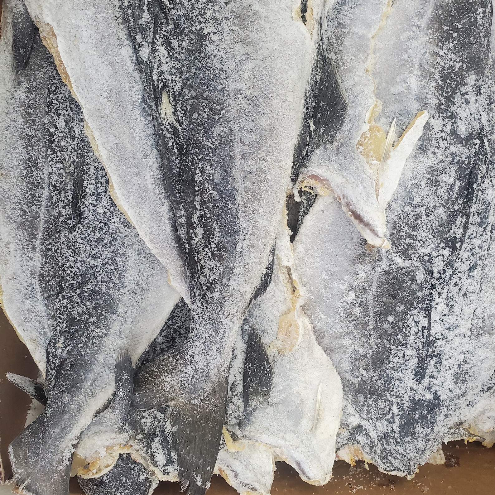 Salted Cod Fish Bone 2lb+ to 50lb/ Buy 12lb+ Get 2lb Free - Etsy