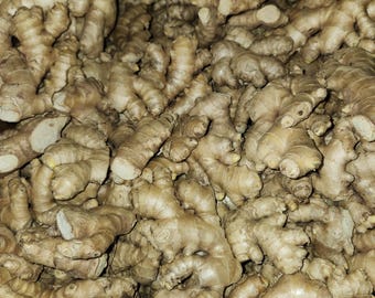 1kg Fresh Organic Ginger Roots - Etsy