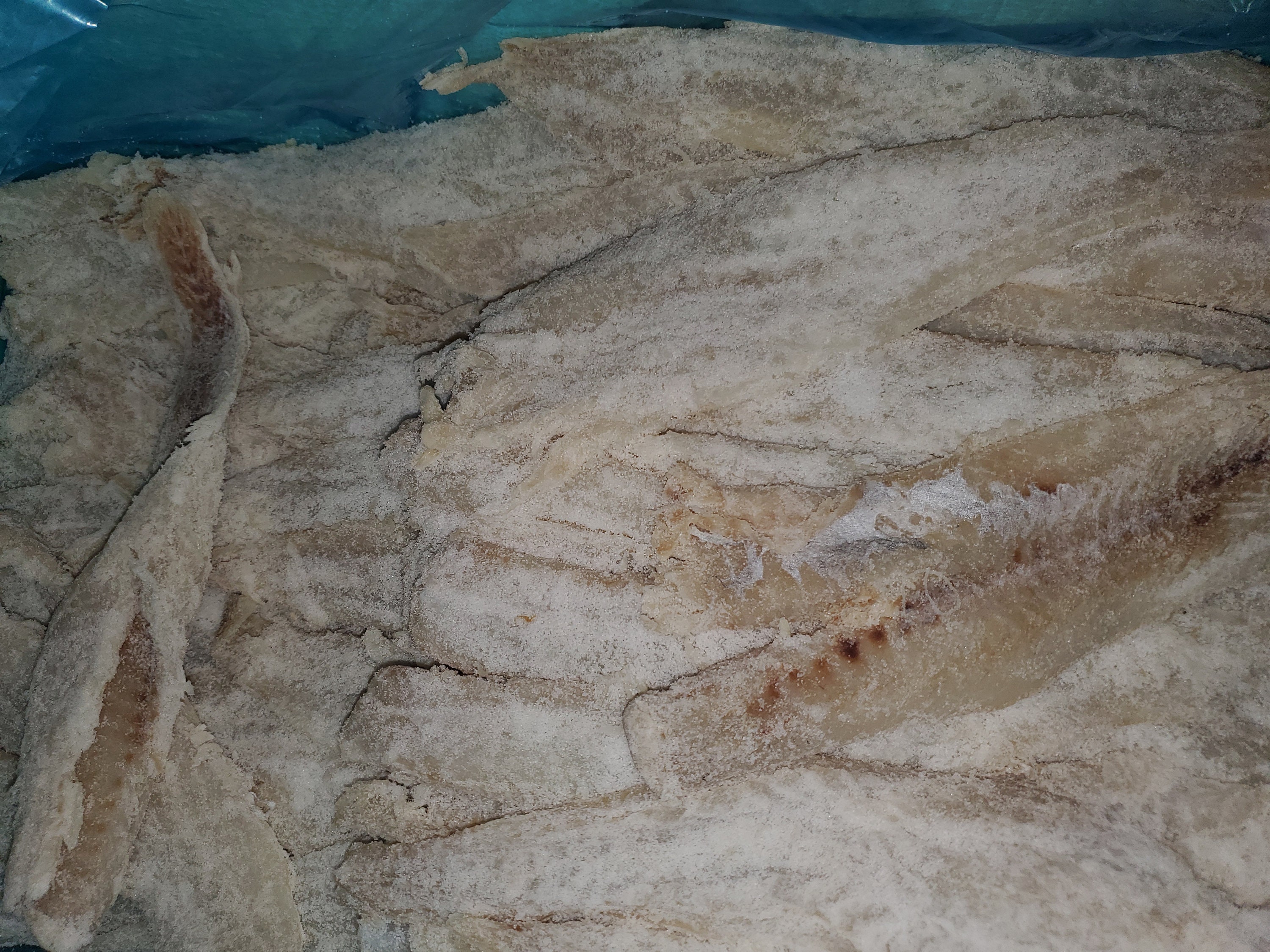 Salted Fish 1LB+ to 40LB/ Buy 6lb Get 1lb Free or 10lb Get 2lb Free ...