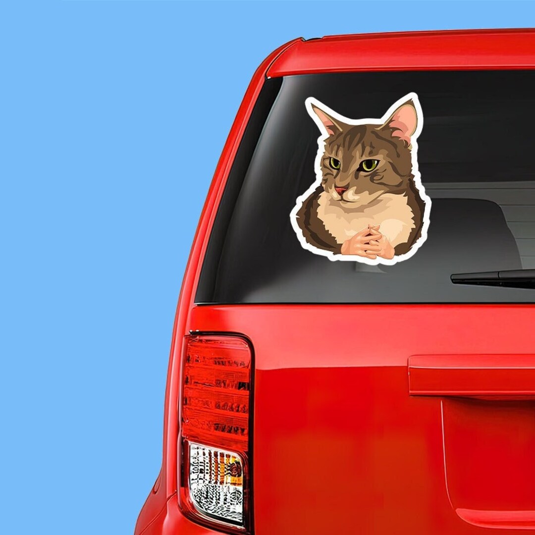 Cat Meme Pin Acrylic Cat Meme Car Decal Cat Meme Sticker - Etsy