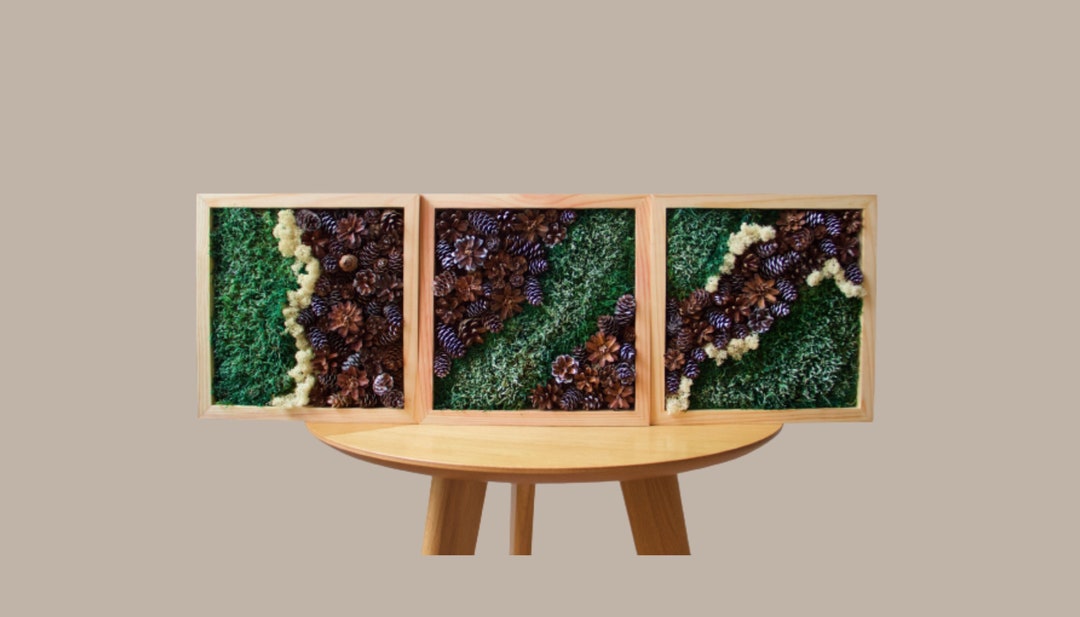 Splendid Moss Wall Art Gift Idea Moss Artwork Green Wall Moss - Etsy