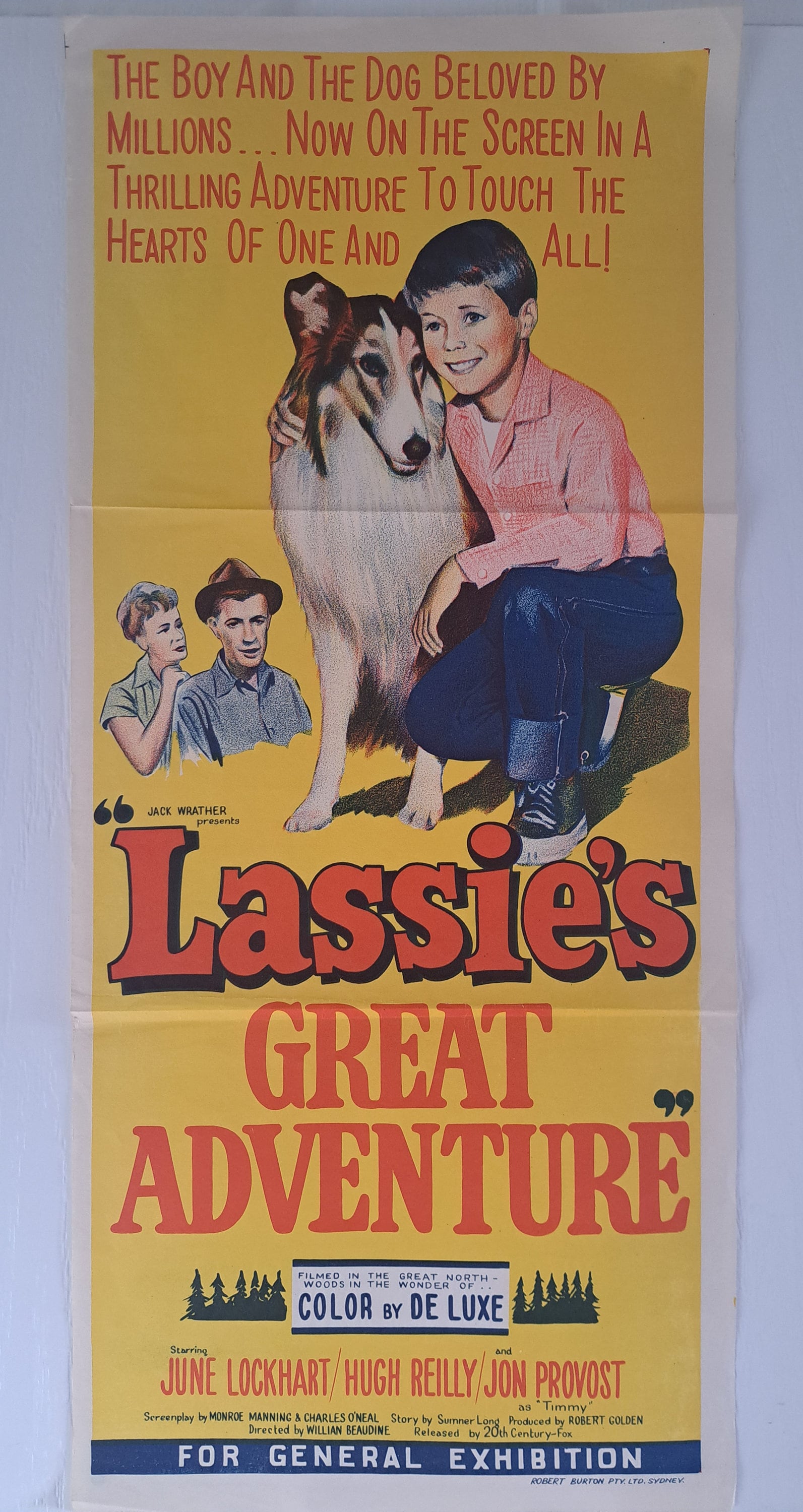 Vintage 1968 Lassie Movie Poster. Original Lassies Great - Etsy