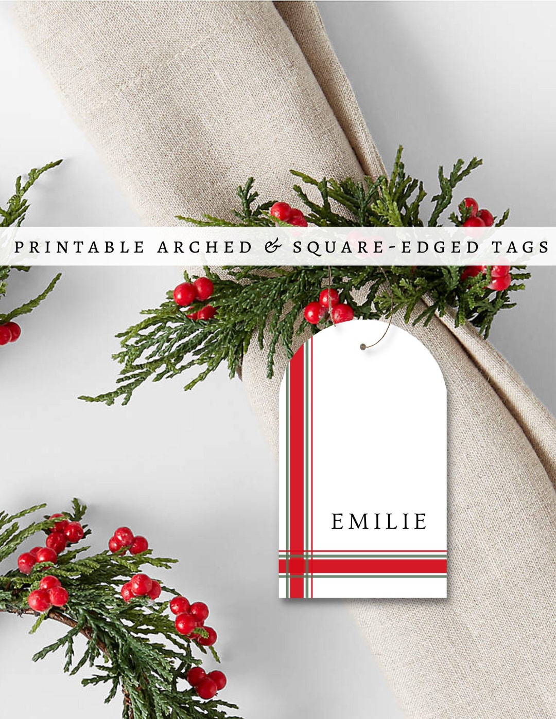 Christmas Place Card Template, Holiday Placecards, Christmas Placecard ...