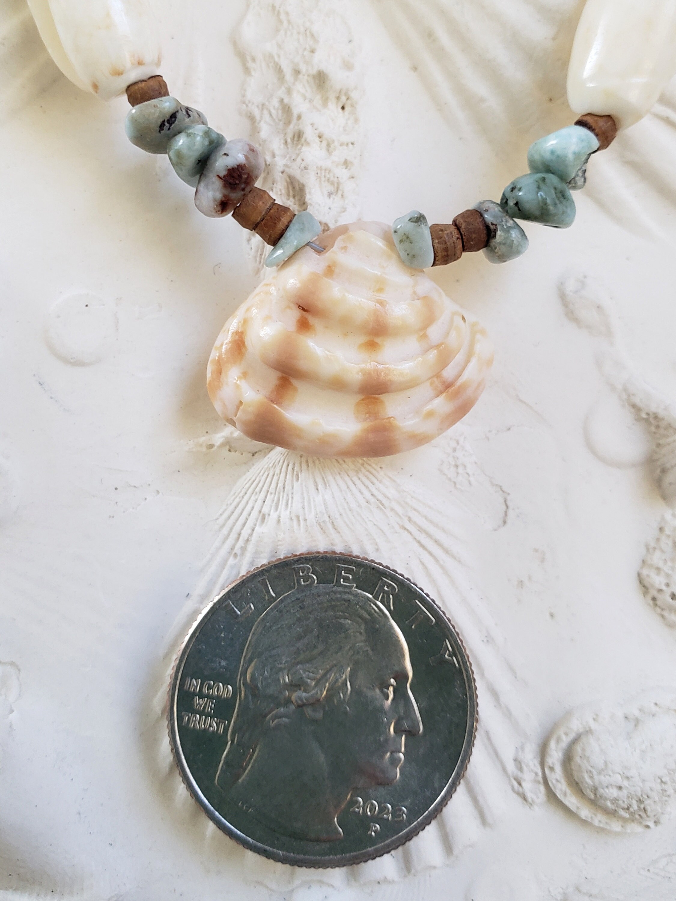 Imperial Venus and Olive Shell Surfers Necklace - Etsy