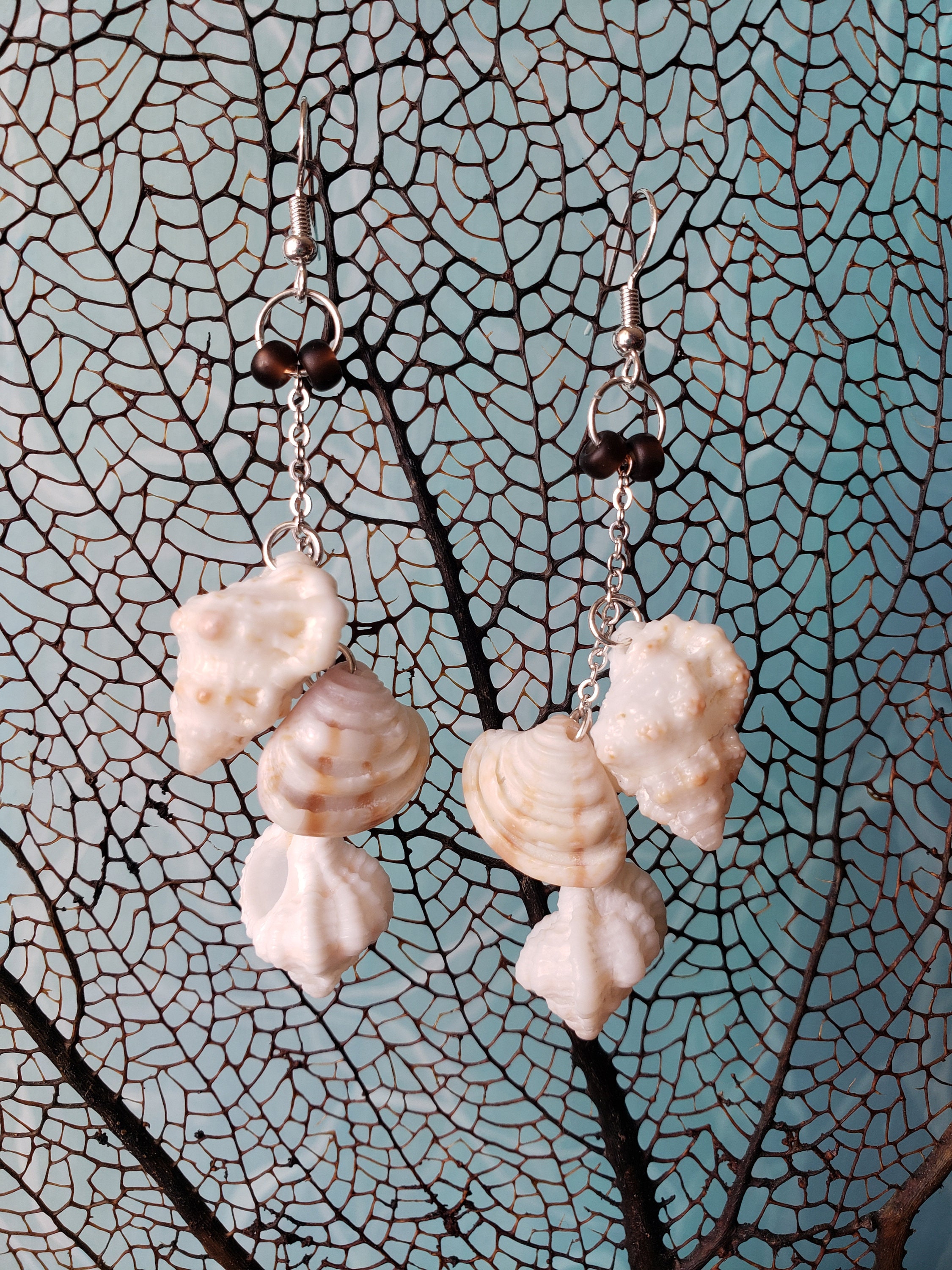 Florida Seashell Dangle Earrings - Etsy