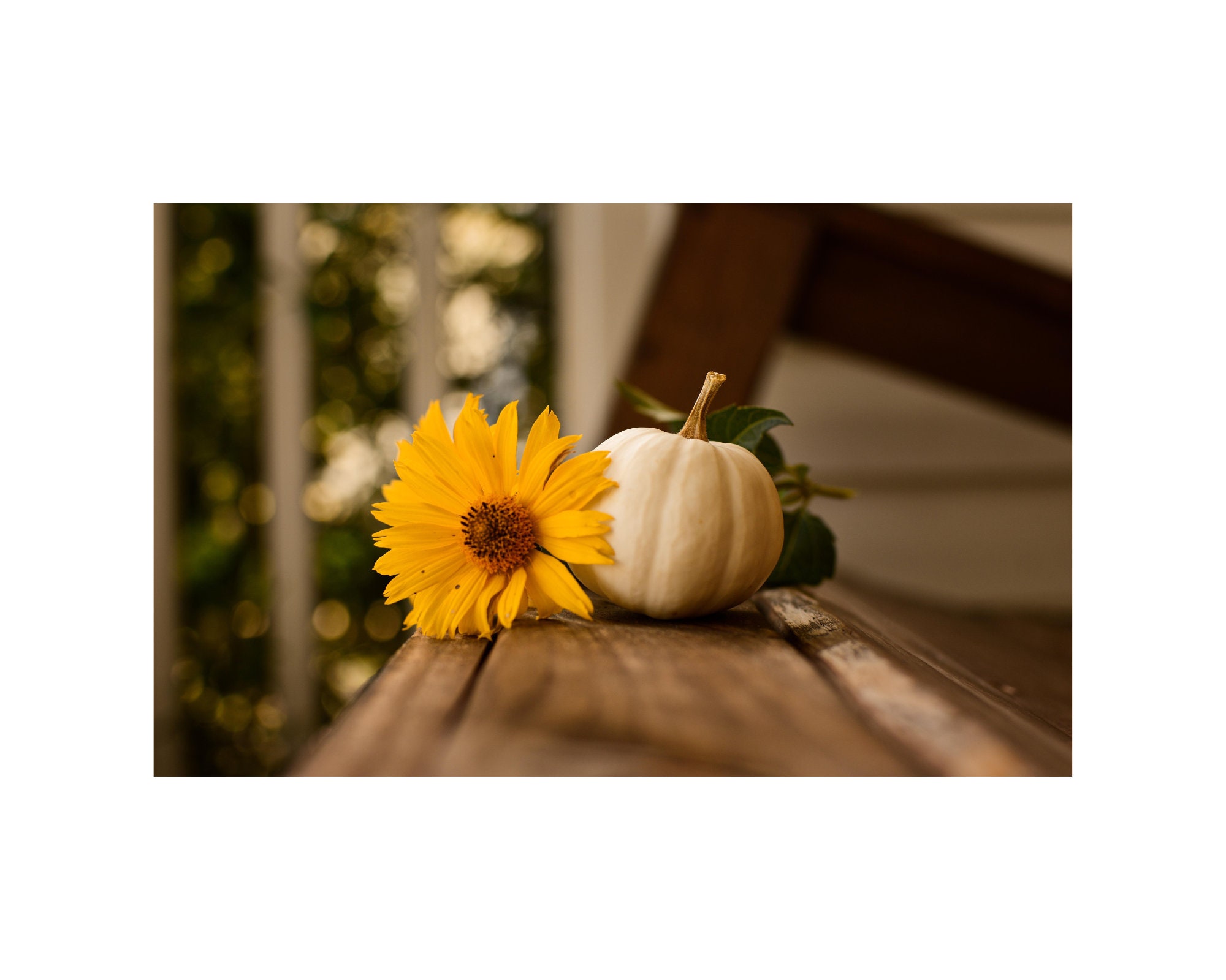 Thanksgiving Background Digital Download, Pumpkin - Etsy