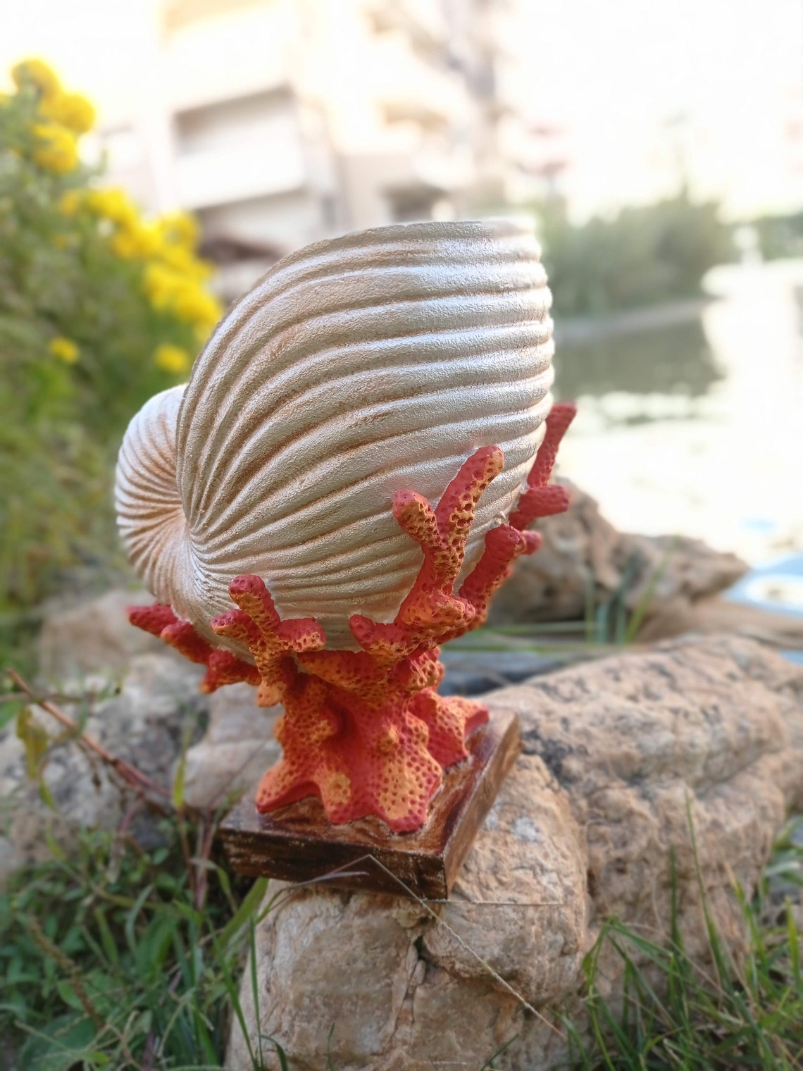 Coral Shell Sculpture Shell Sculpture Shell Object Sea - Etsy