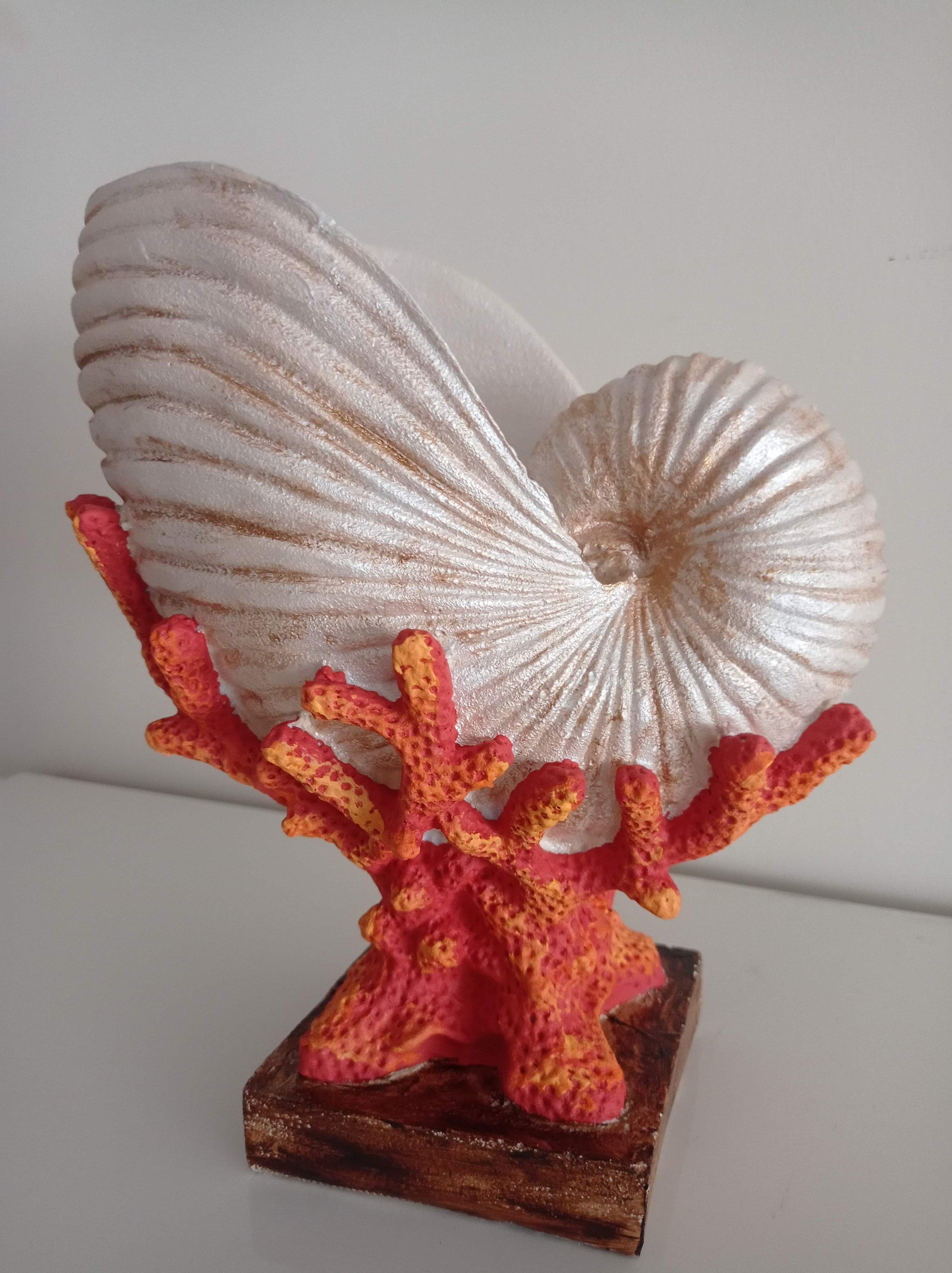 Coral Shell Sculpture, Shell Sculpture, Shell Object, Sea Shell ...