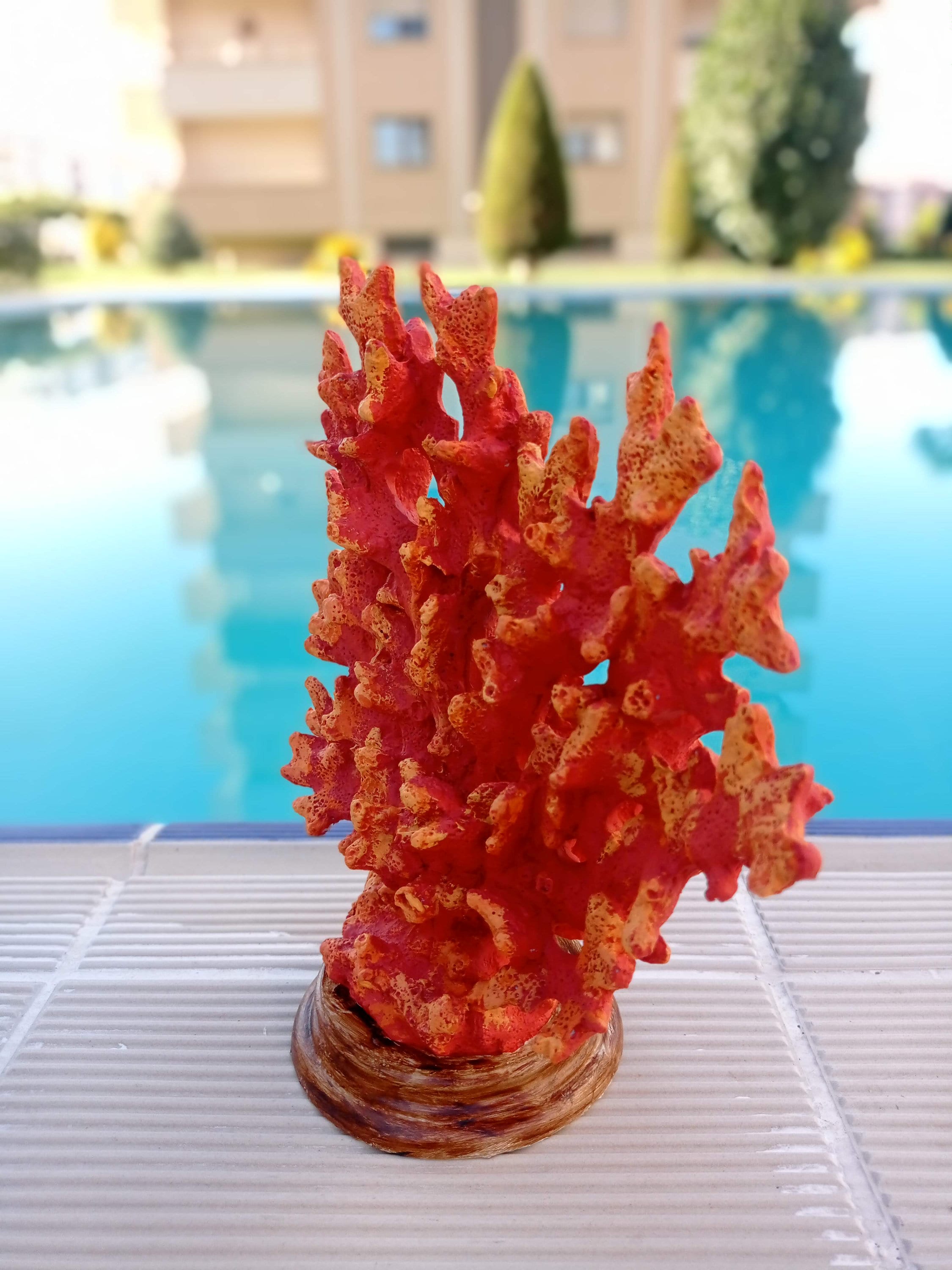 Sea Coral Statue, Coral Statue, Sea Product Object, Coral Figurine ...