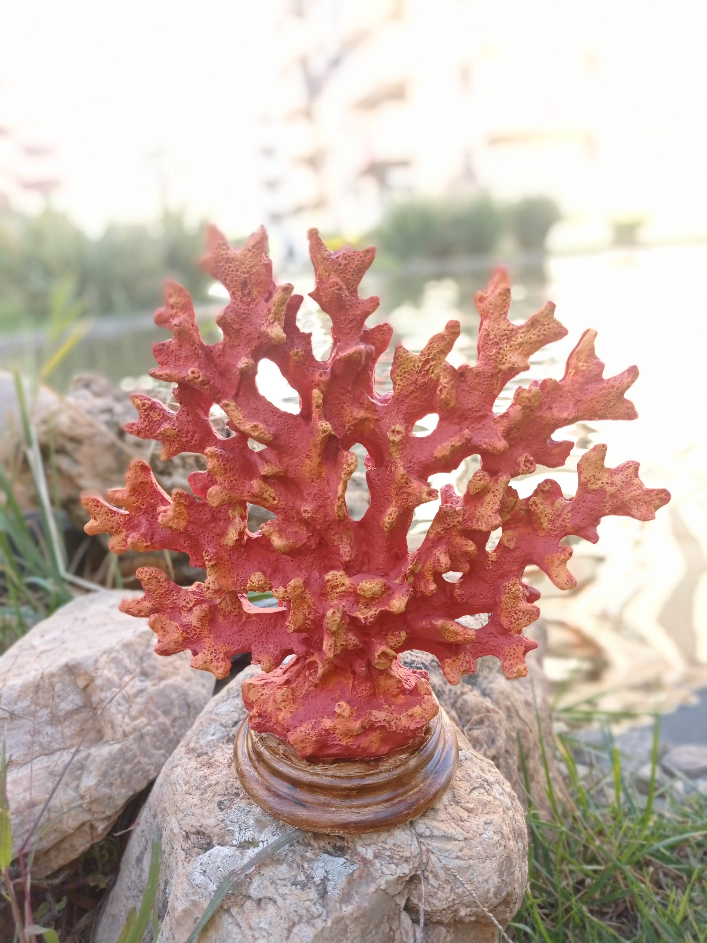 Sea Coral Statue, Coral Statue, Sea Product Object, Coral Figurine ...