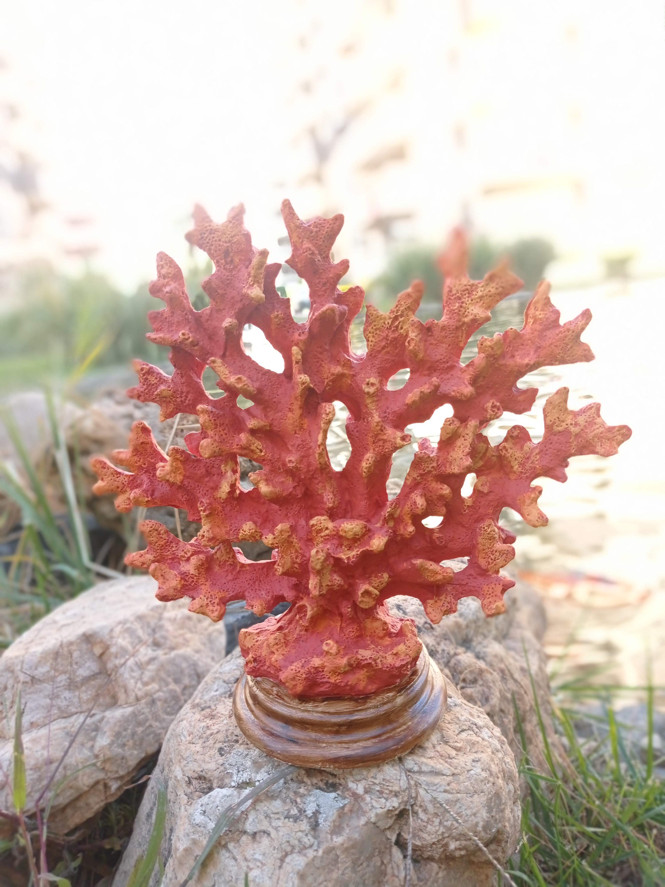 Sea Coral Statue, Coral Statue, Sea Product Object, Coral Figurine ...