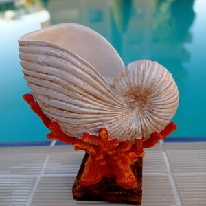 Coral Shell Sculpture, Shell Sculpture, Shell Object, Sea Shell ...
