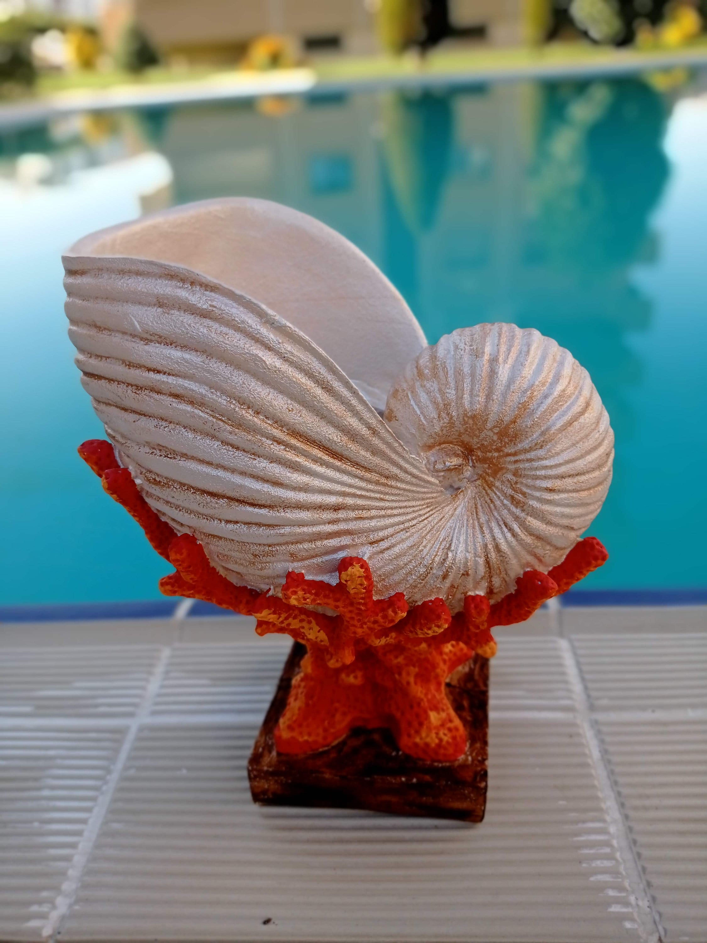 Coral Shell Sculpture Shell Sculpture Shell Object Sea - Etsy