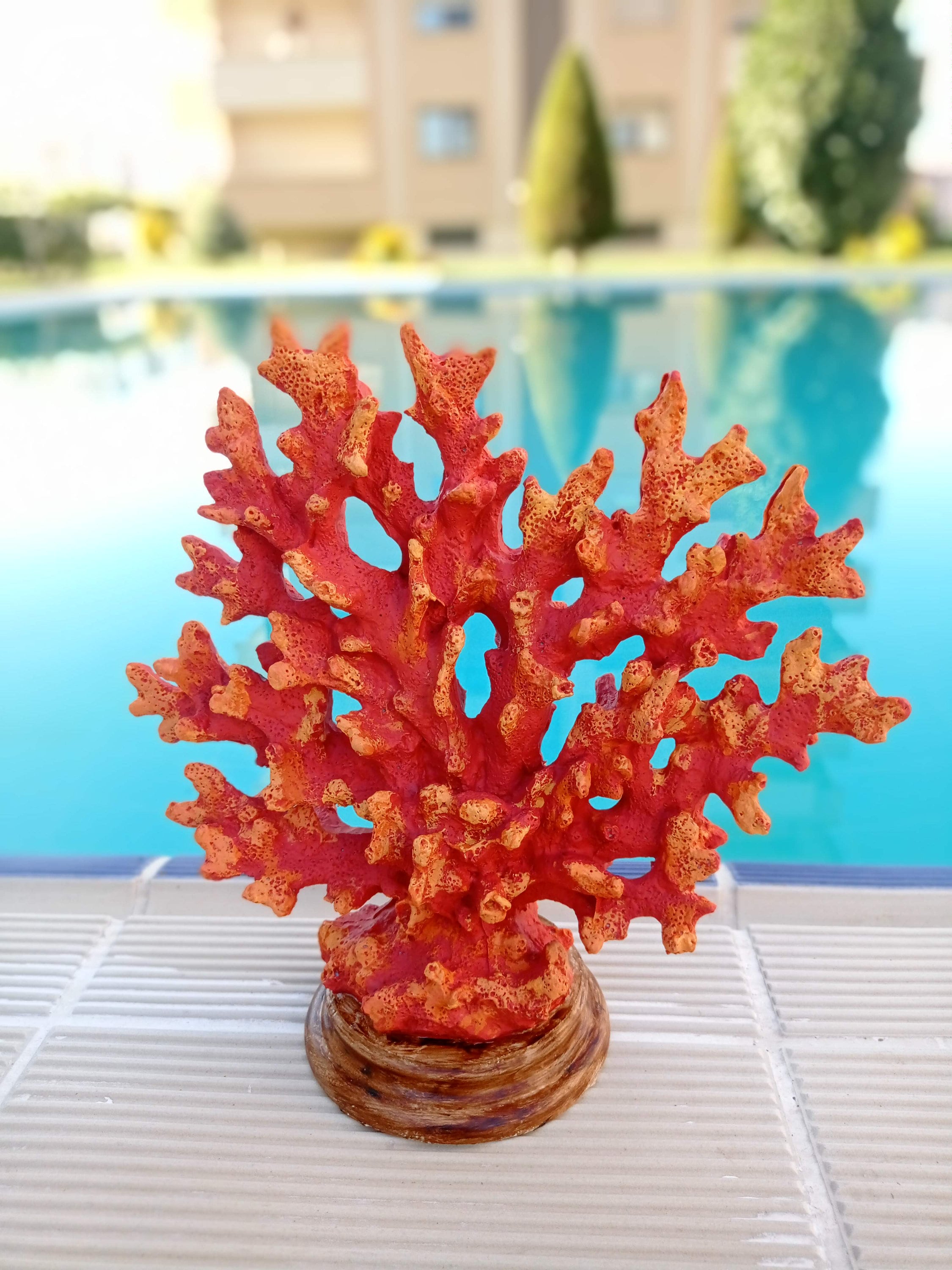 Sea Coral Statue Coral Statue Sea Product Object Coral - Etsy
